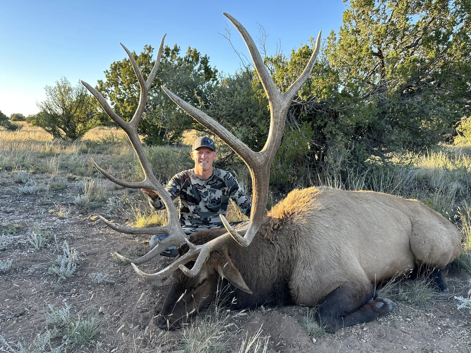Arizona Elk Hunting — High Point Outfitters