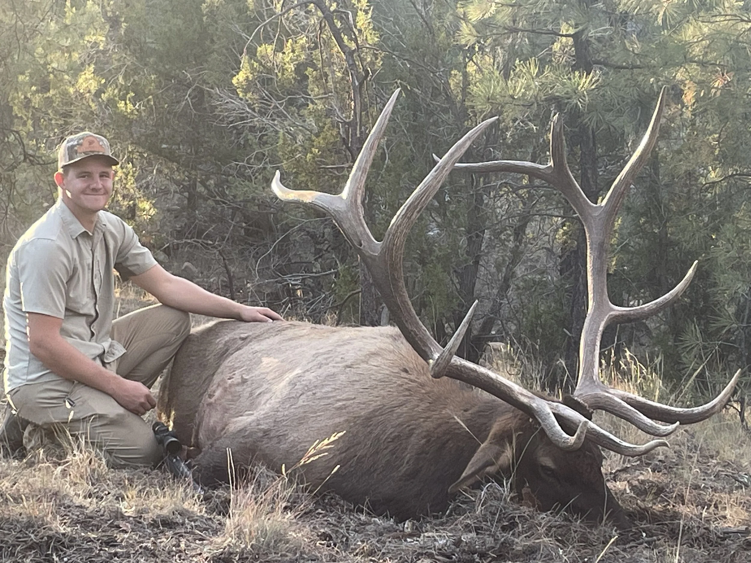 Arizona Elk Hunting — High Point Outfitters