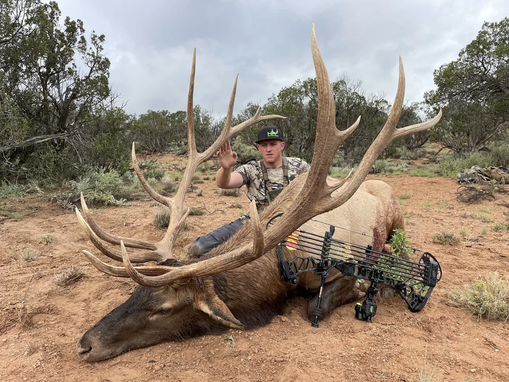 Arizona Elk Hunting — High Point Outfitters