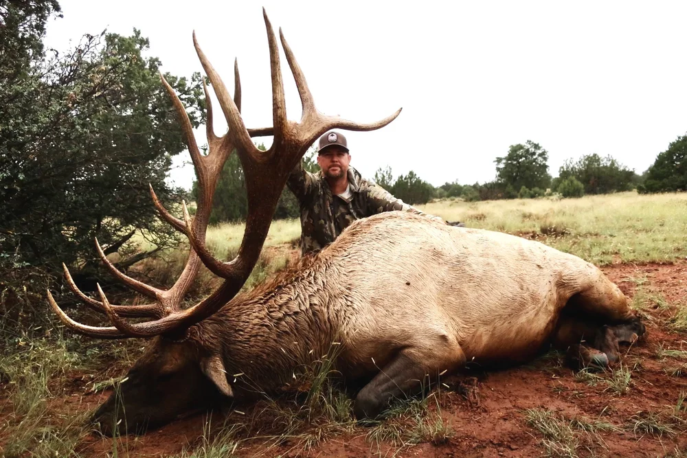 Arizona Elk Hunting — High Point Outfitters