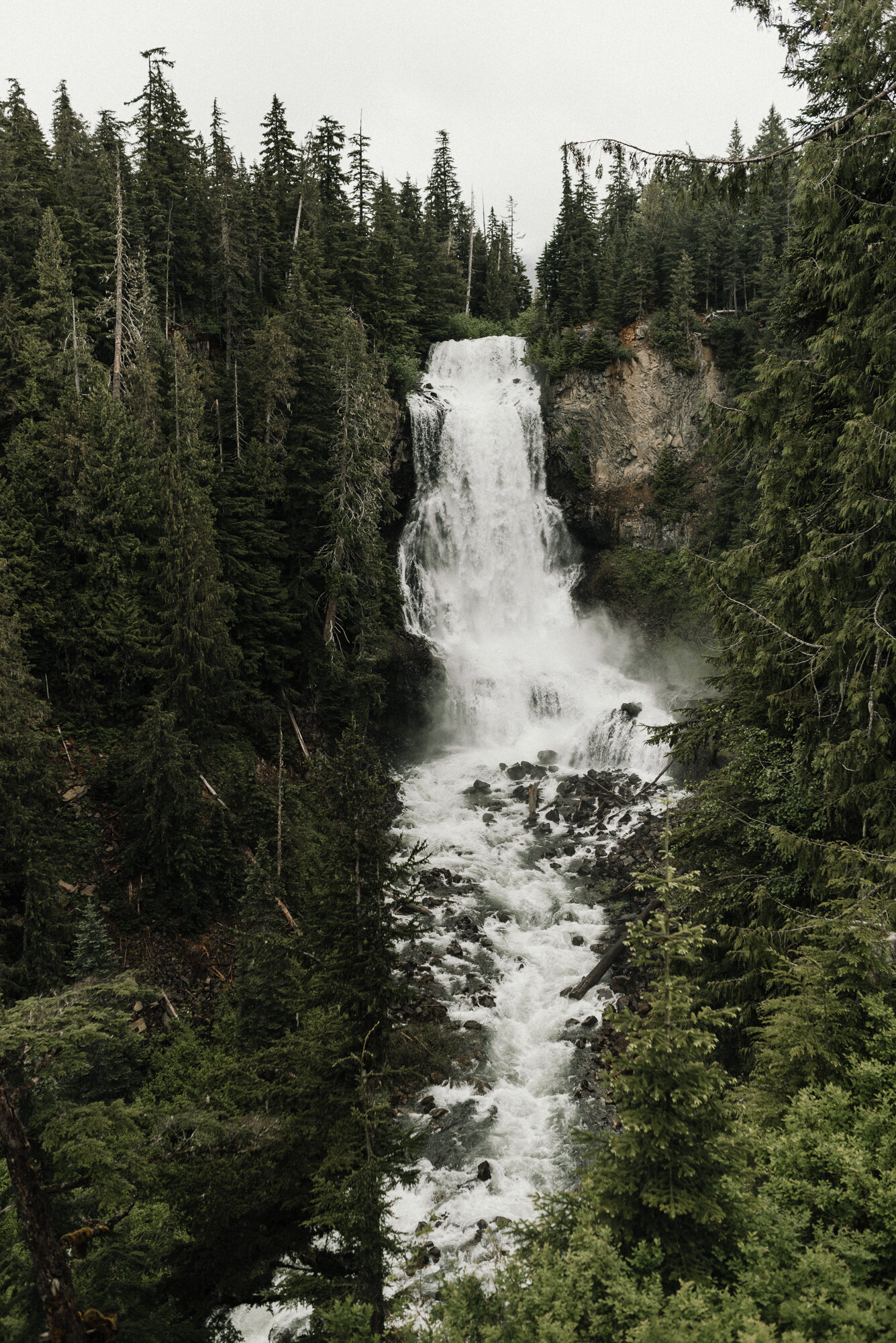 Alexander Falls Elopement in Whistler BC — The Koebels