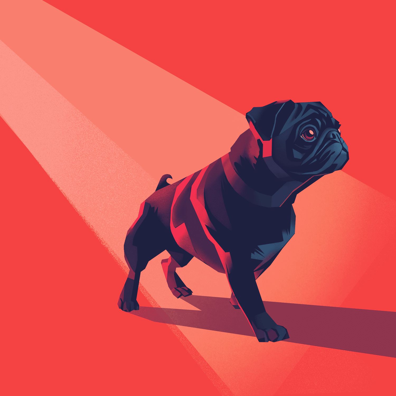 Emma Rose - Freelance Illustrator