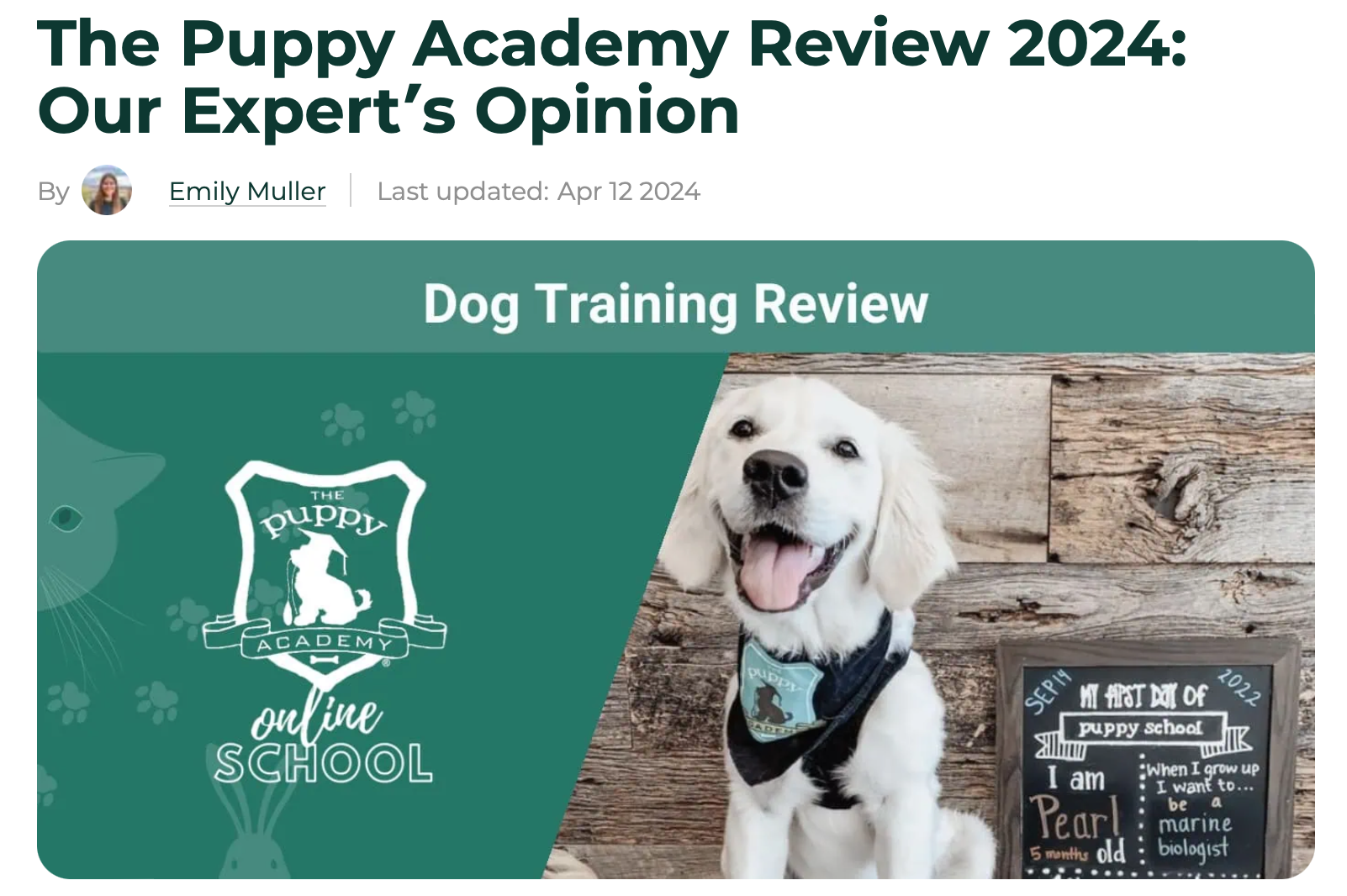 Online School — The Puppy Academy