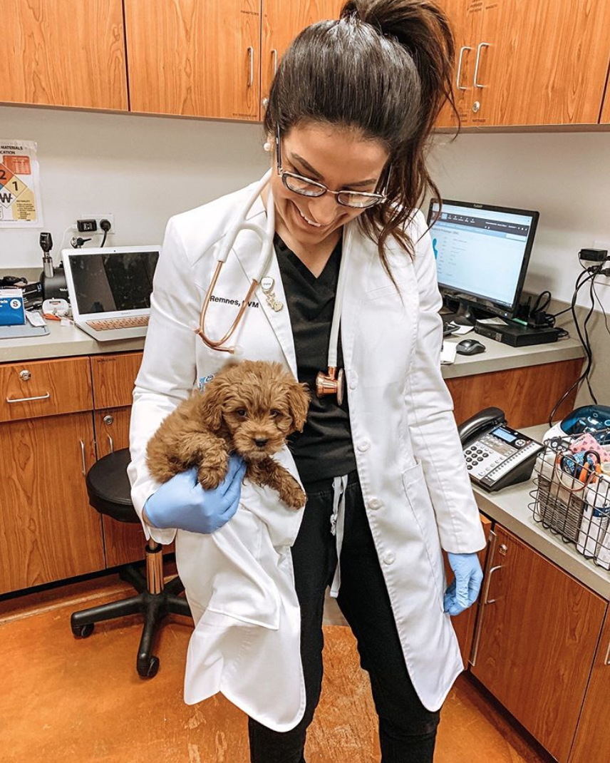 What to Ask Your Vet on Your Puppy’s First Visit! — The Puppy Academy