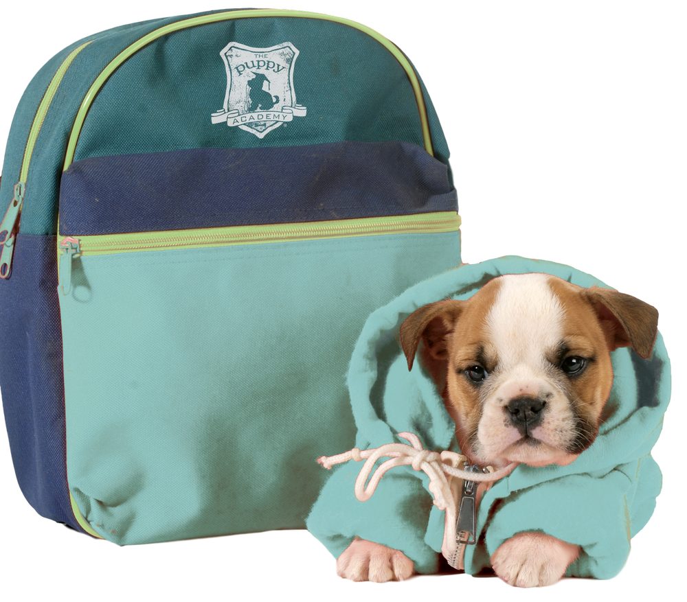 Program Details — The Puppy Academy