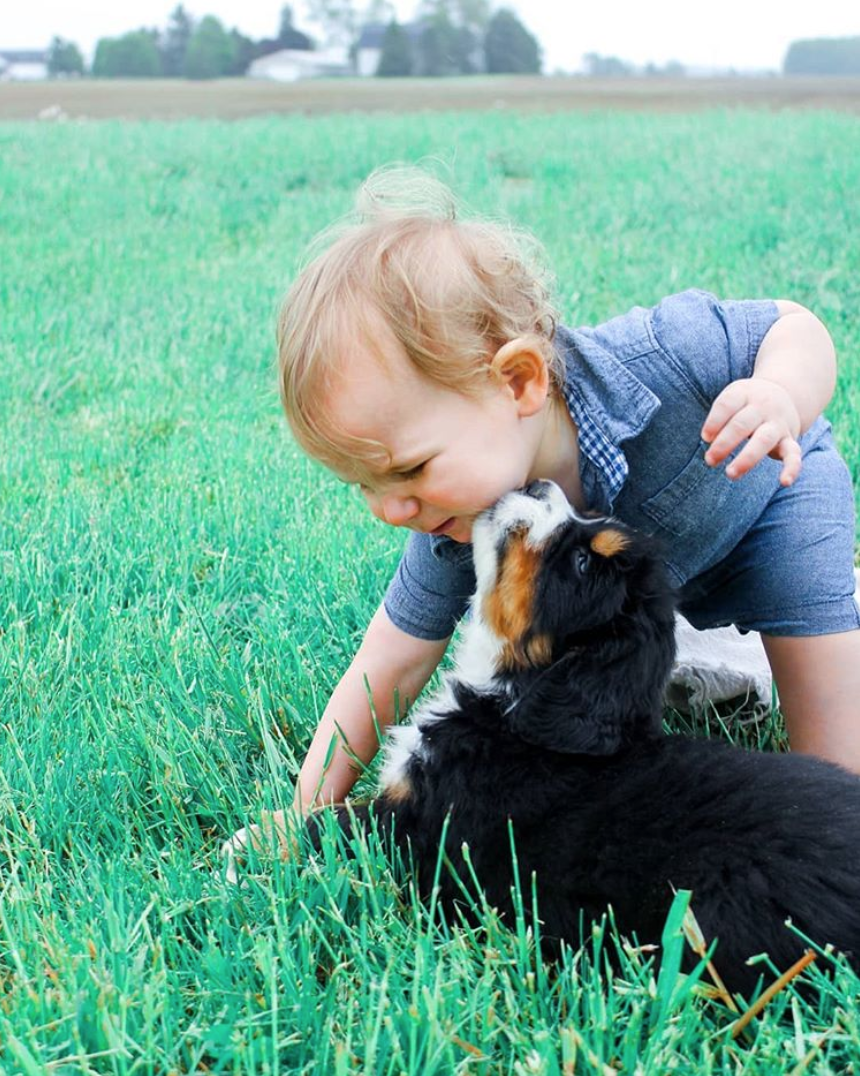 Teach Your Kids How to Treat the New Puppy! — The Puppy Academy