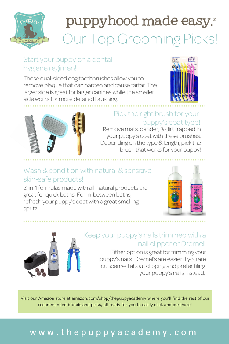 Puppyhood Made Easy for New Owners: Grooming Essentials! — The Puppy ...