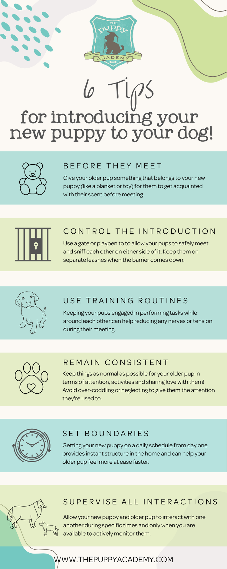 How to Introduce Your New Puppy to Your Dog! — The Puppy Academy