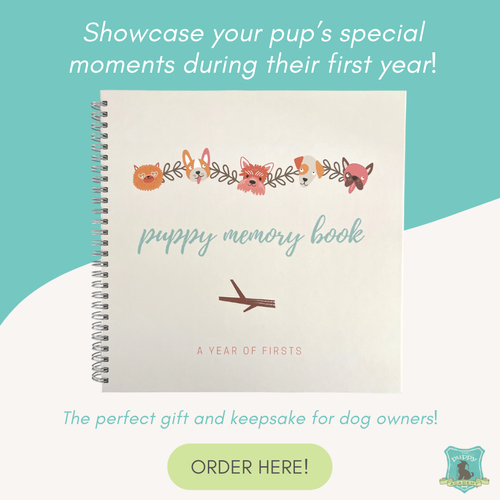 Complete Puppy Training Schedule by Age! — The Puppy Academy