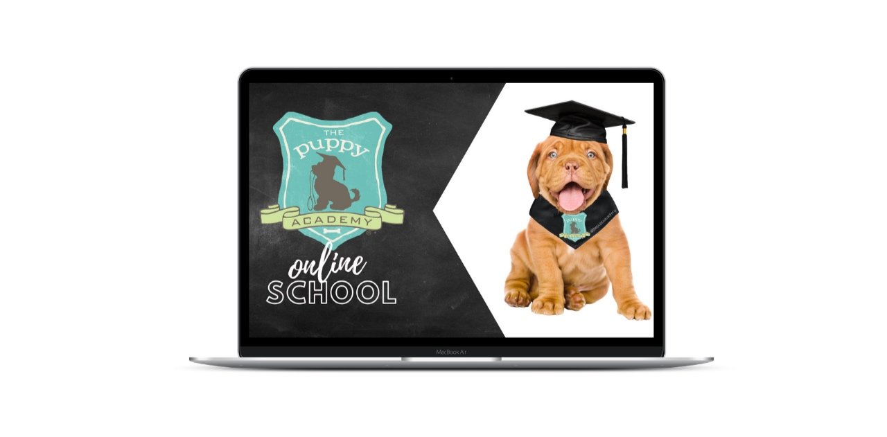 Online School — The Puppy Academy