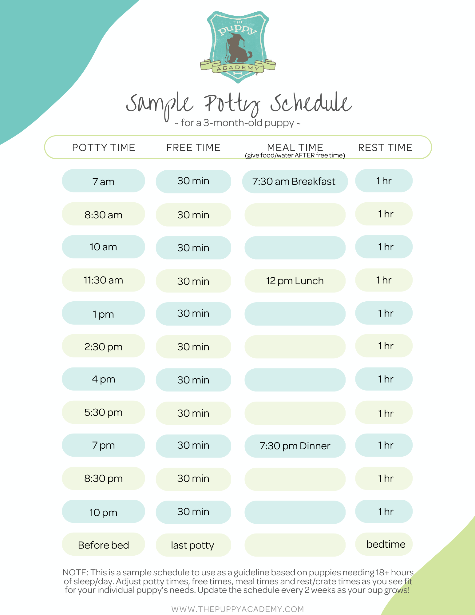 Puppyhood Made Easy For New Owners Create A Puppy Potty Schedule