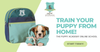 10 Fun Things to do at Home with Your Puppy! — The Puppy Academy