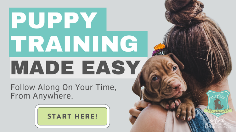 Puppy Training 101: Giving Your Puppy Commands -- the RIGHT Way! — The ...