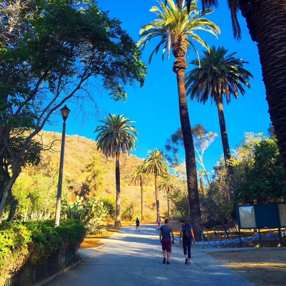 Friends of Runyon Canyon