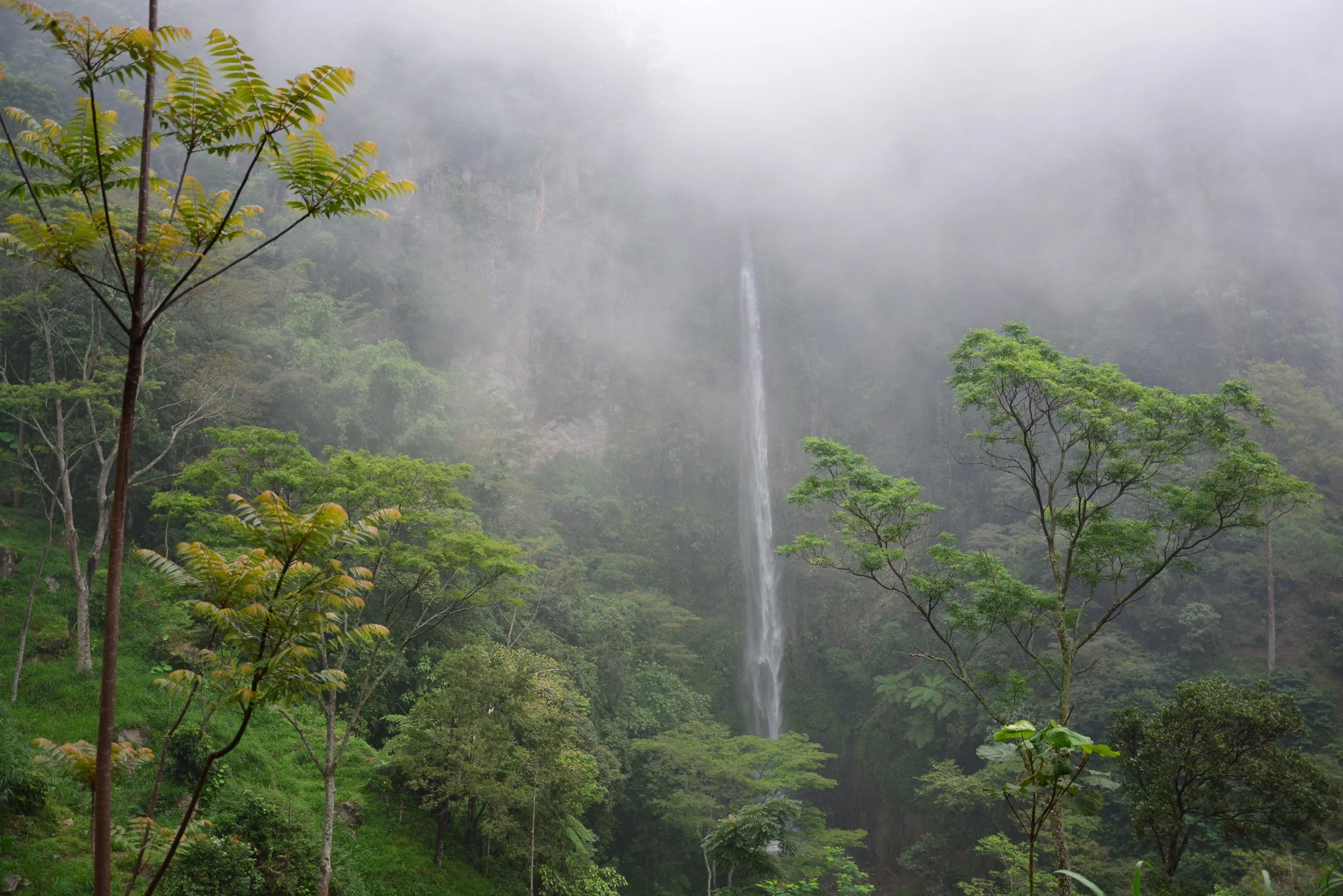 News — Frontline Missions