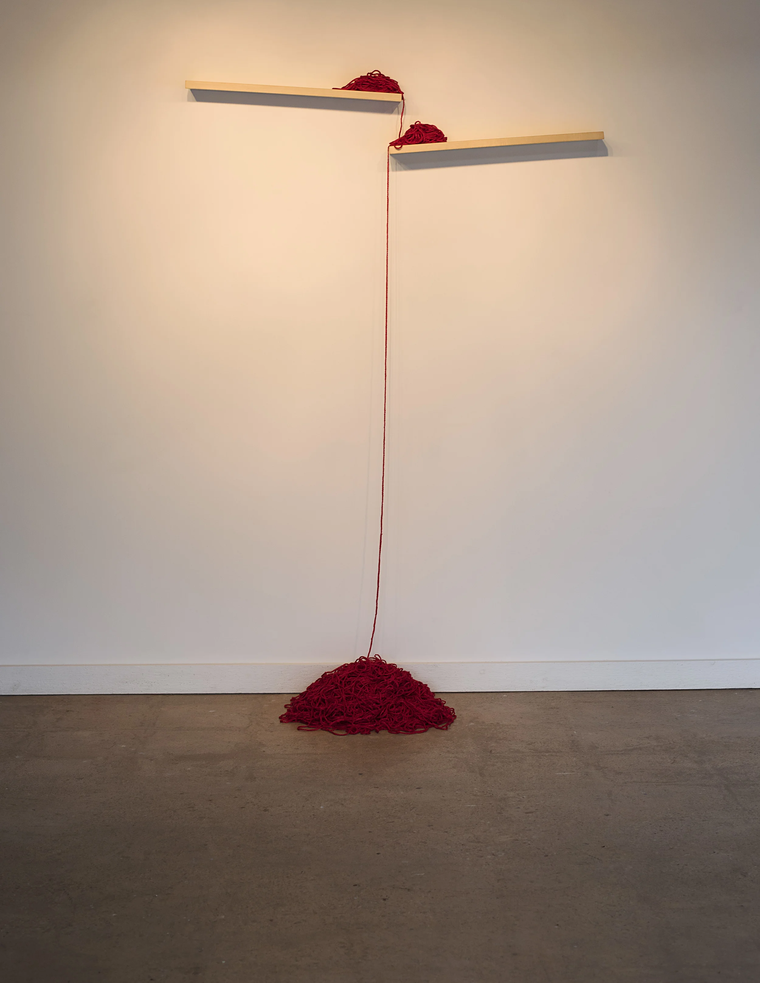 Ninth — Sara Grace Cofield