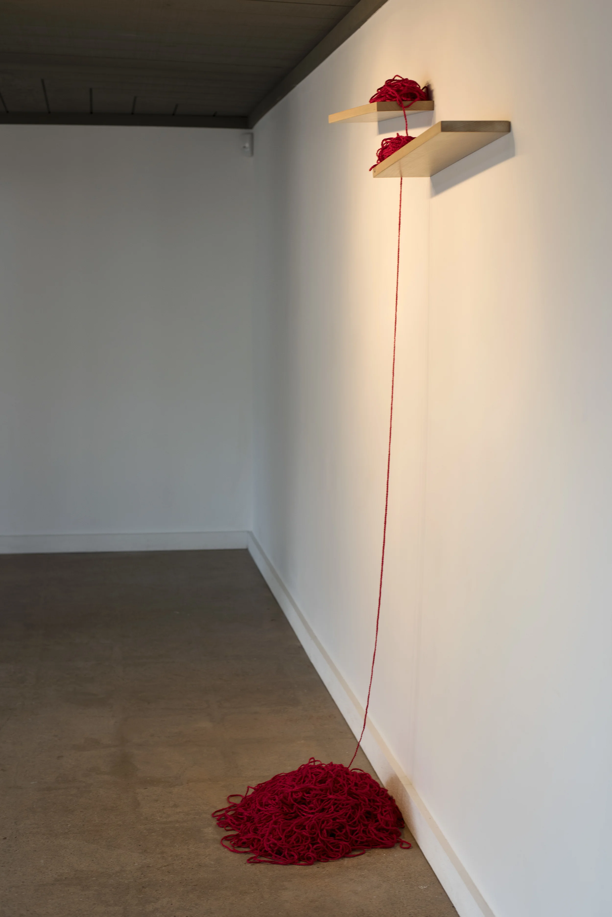 Ninth — Sara Grace Cofield