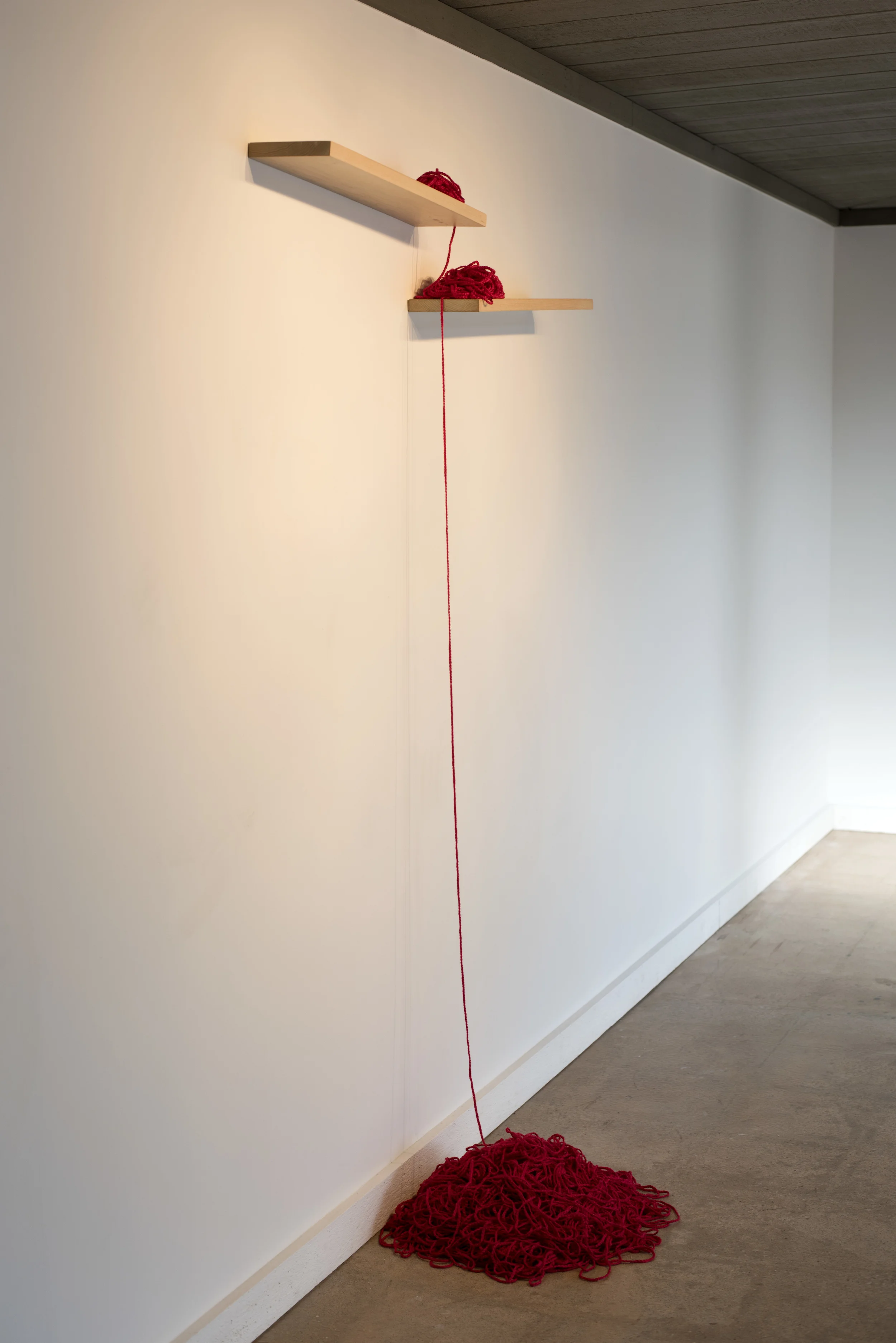 Ninth — Sara Grace Cofield