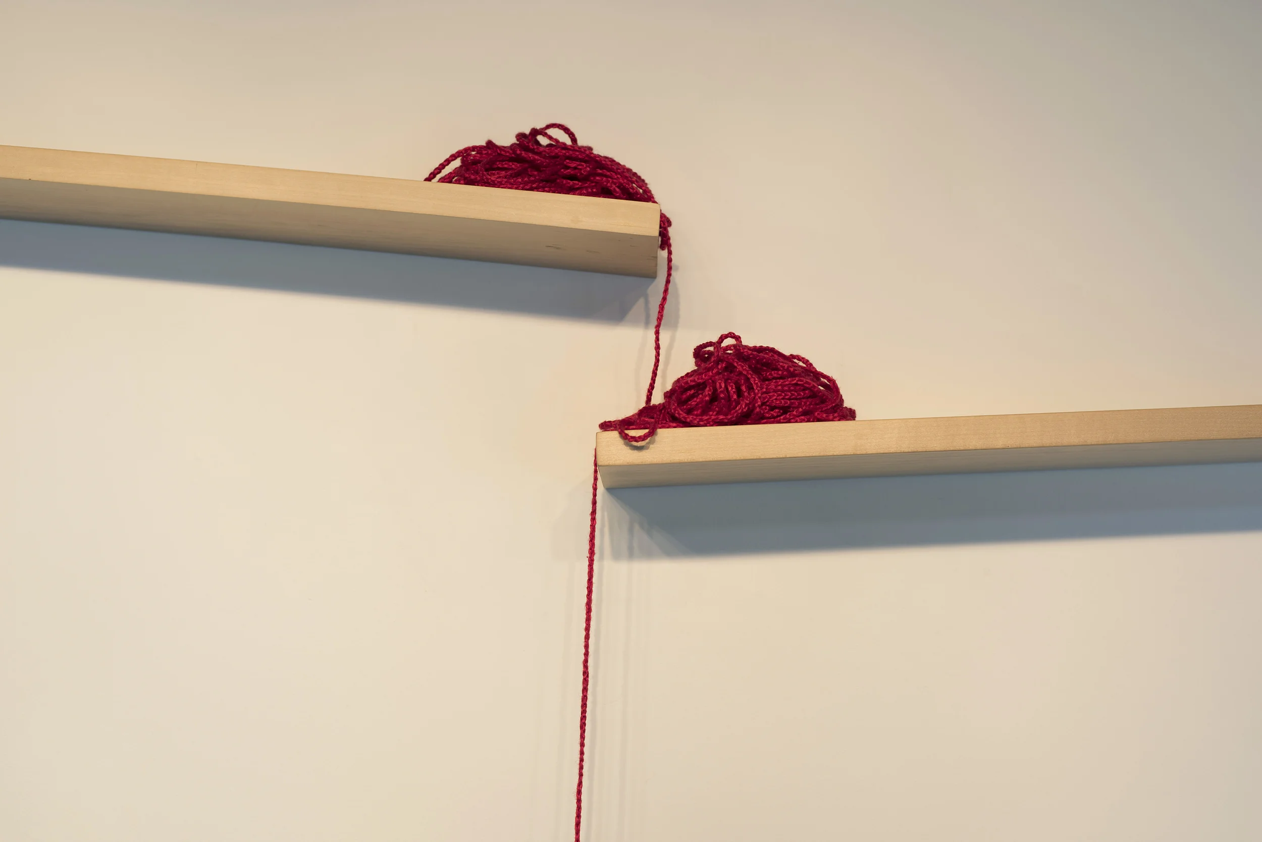 Ninth — Sara Grace Cofield