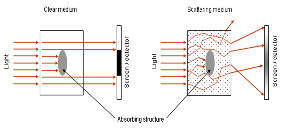Our Story | fNIRS Systems | NIRS Devices | NIRx