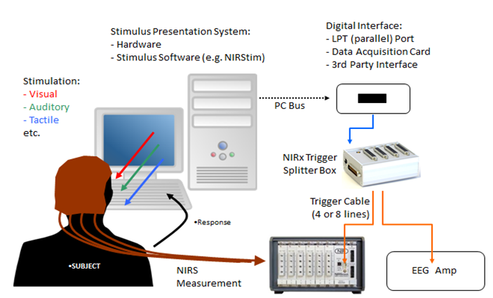 fNIRS - EEG | fNIRS Systems | NIRS Devices | NIRx