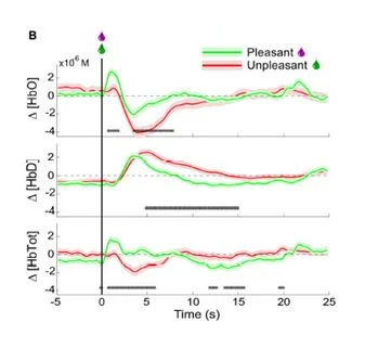 BCI & Neurofeedback with FNIRS | Concurrent NIRS EEG for BCI Recording ...
