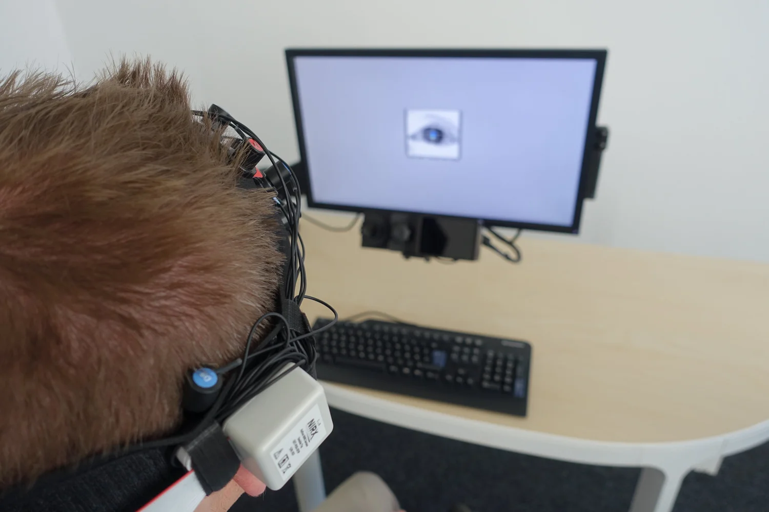 fNIRS - Eye Tracking | Concurrent NIRS Eye-Tracking Recording ...
