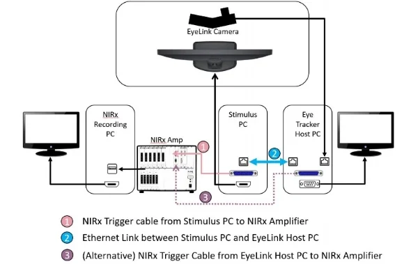 fNIRS - Eye Tracking | Concurrent NIRS Eye-Tracking Recording ...