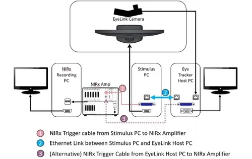 fNIRS - Eye Tracking | Concurrent NIRS Eye-Tracking Recording ...
