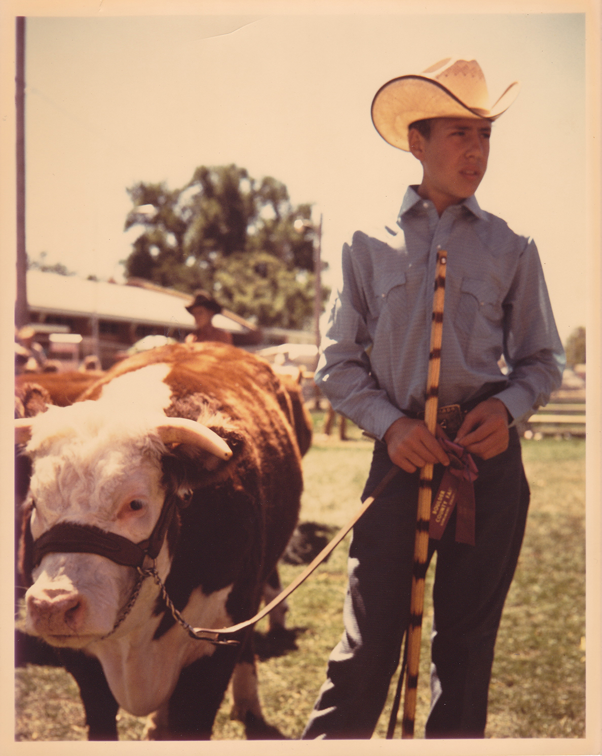 About Adam — Adam Eisenberg