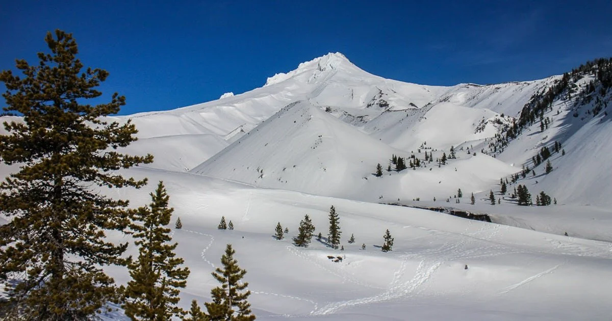 Star Parties — Rose City Astronomers (RCA)