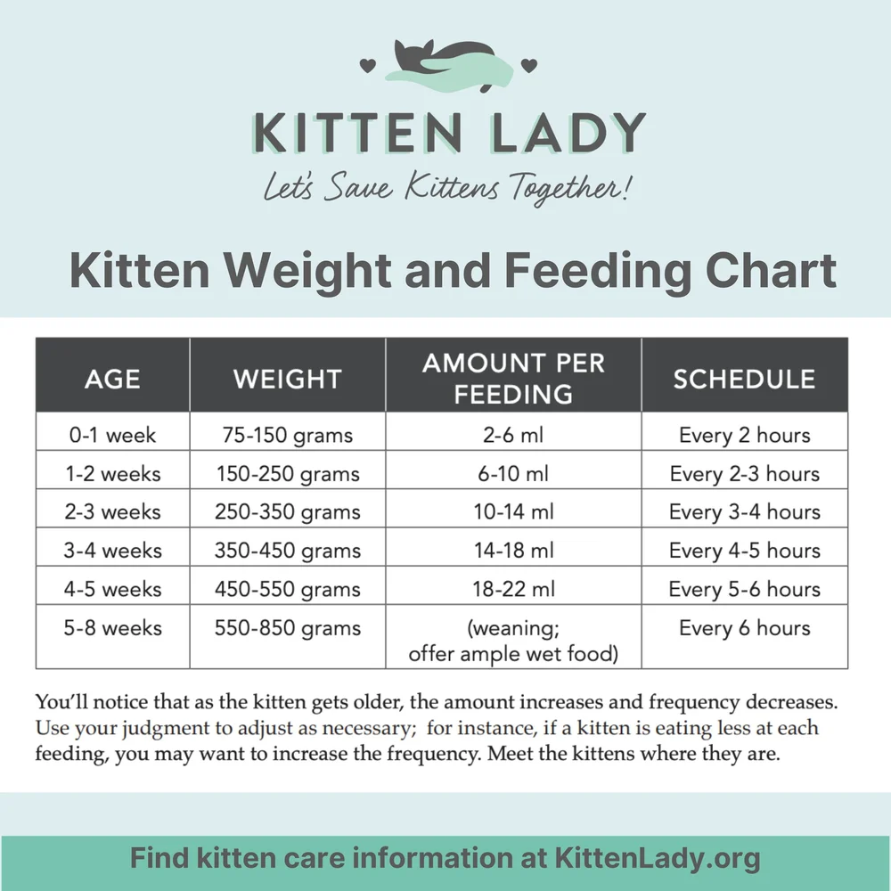 Charts — Kitten Lady