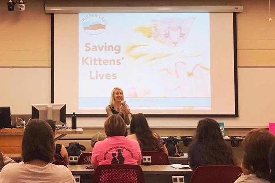 Kitten Lady Events — Kitten Lady