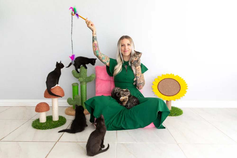 About — Kitten Lady