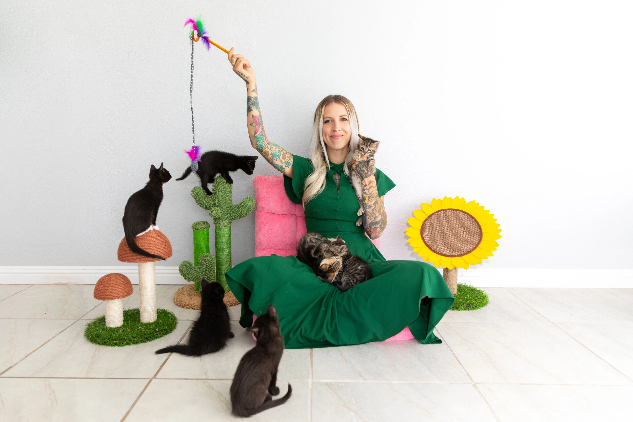 About — Kitten Lady
