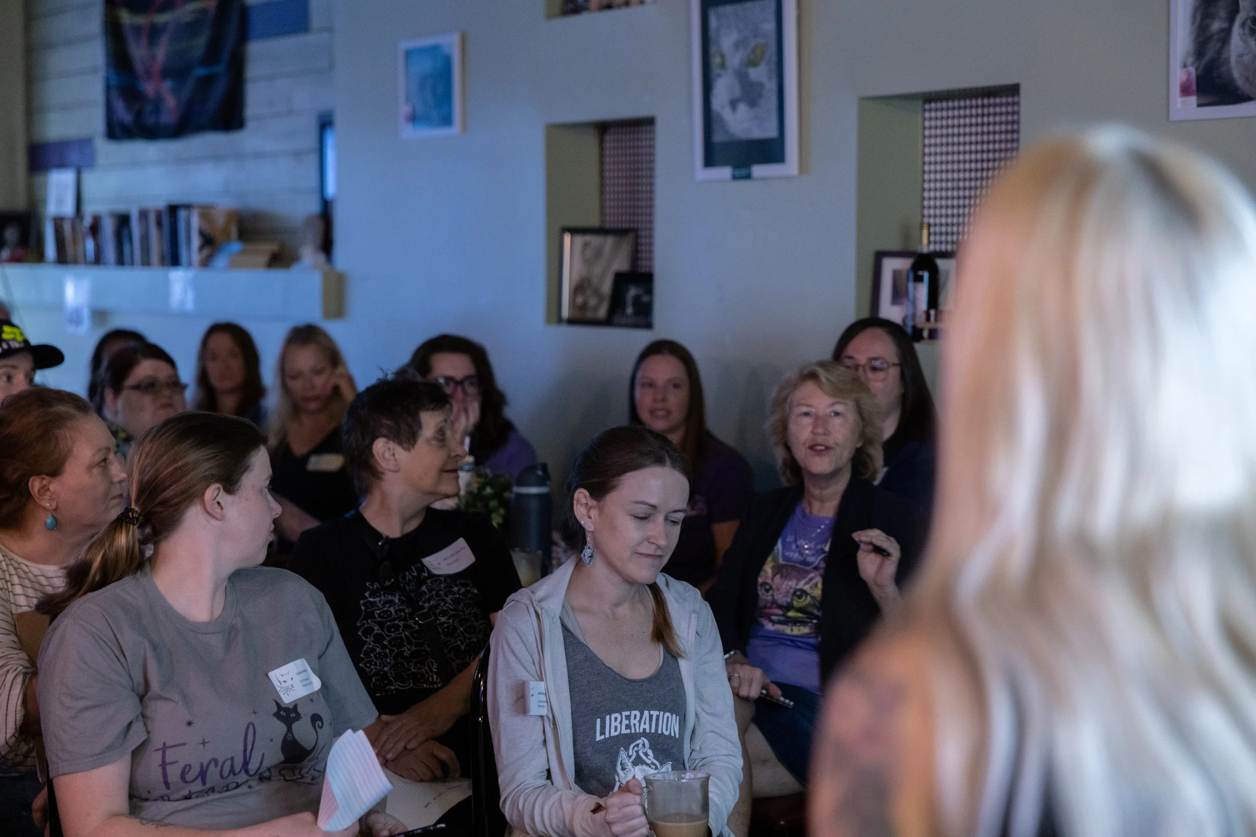 Kitten Lady Events — Kitten Lady