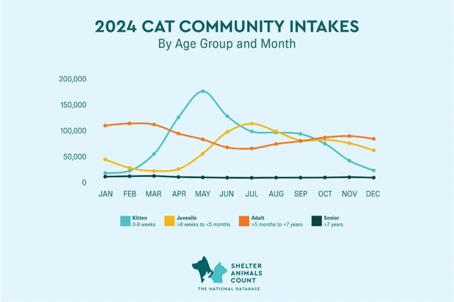 Kitten Statistics: What the Data Says About Kitten Welfare — Kitten Lady