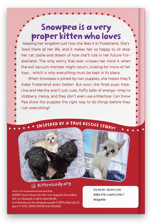 Adventures in Fosterland — Kitten Lady