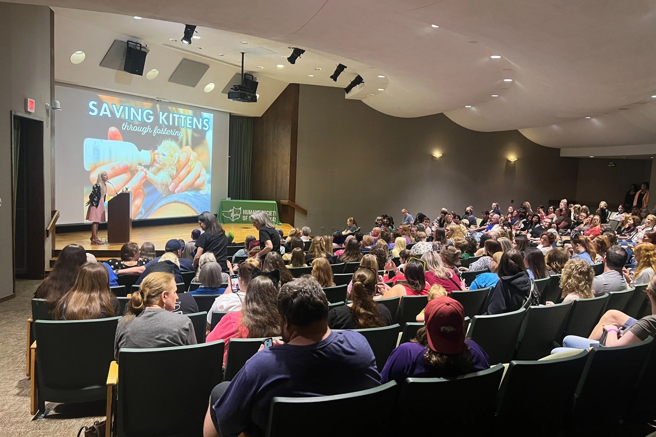 Kitten Lady Events — Kitten Lady