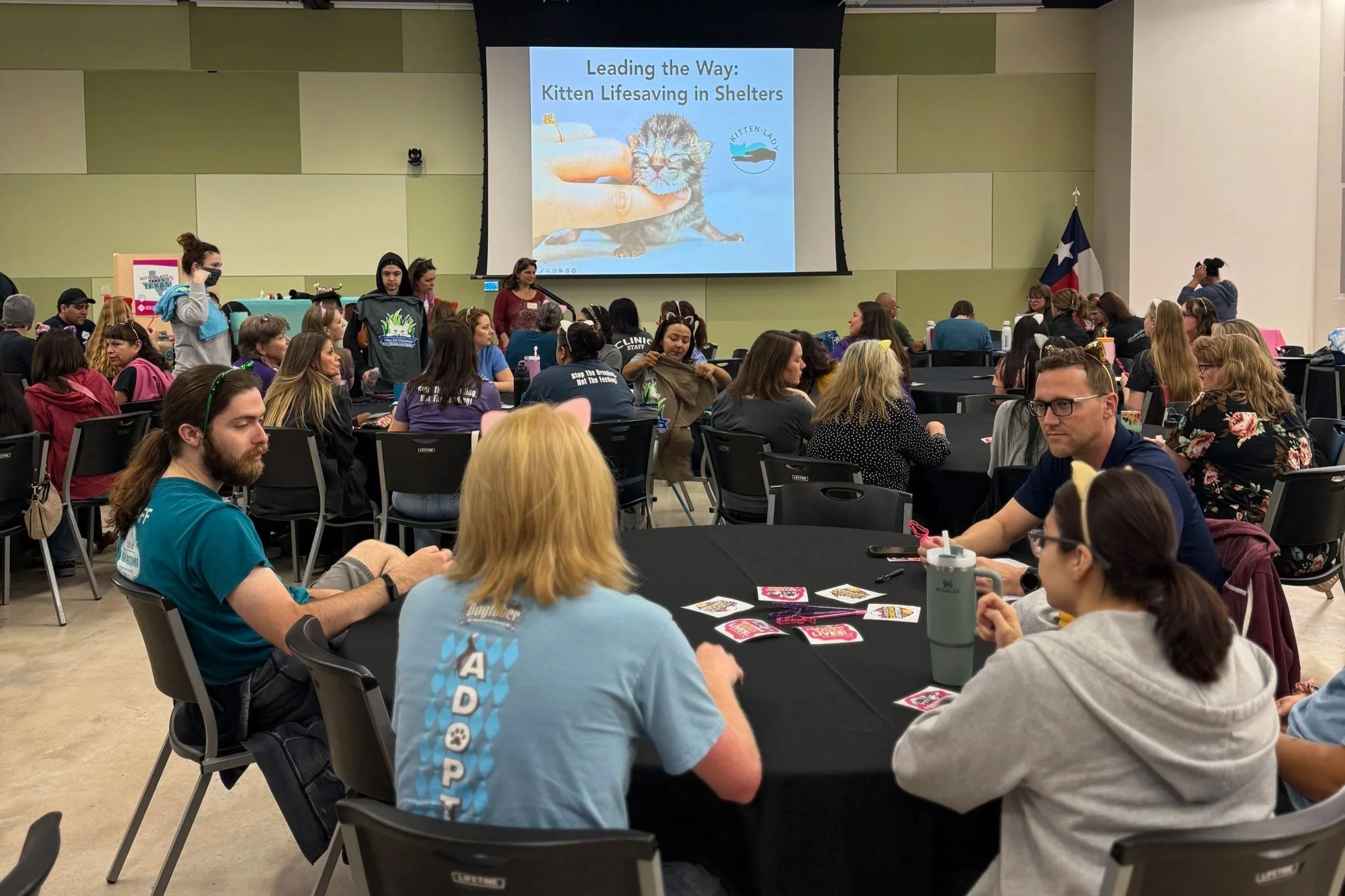 Book a Kitten Lady Event — Kitten Lady
