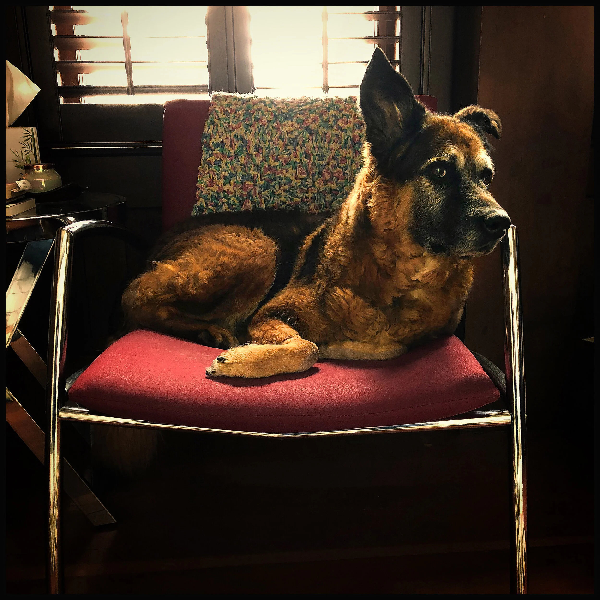 Josh Fogel Photography