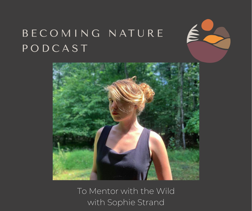 To Mentor with the Wild; with Sophie Strand — Sustainable Life ...