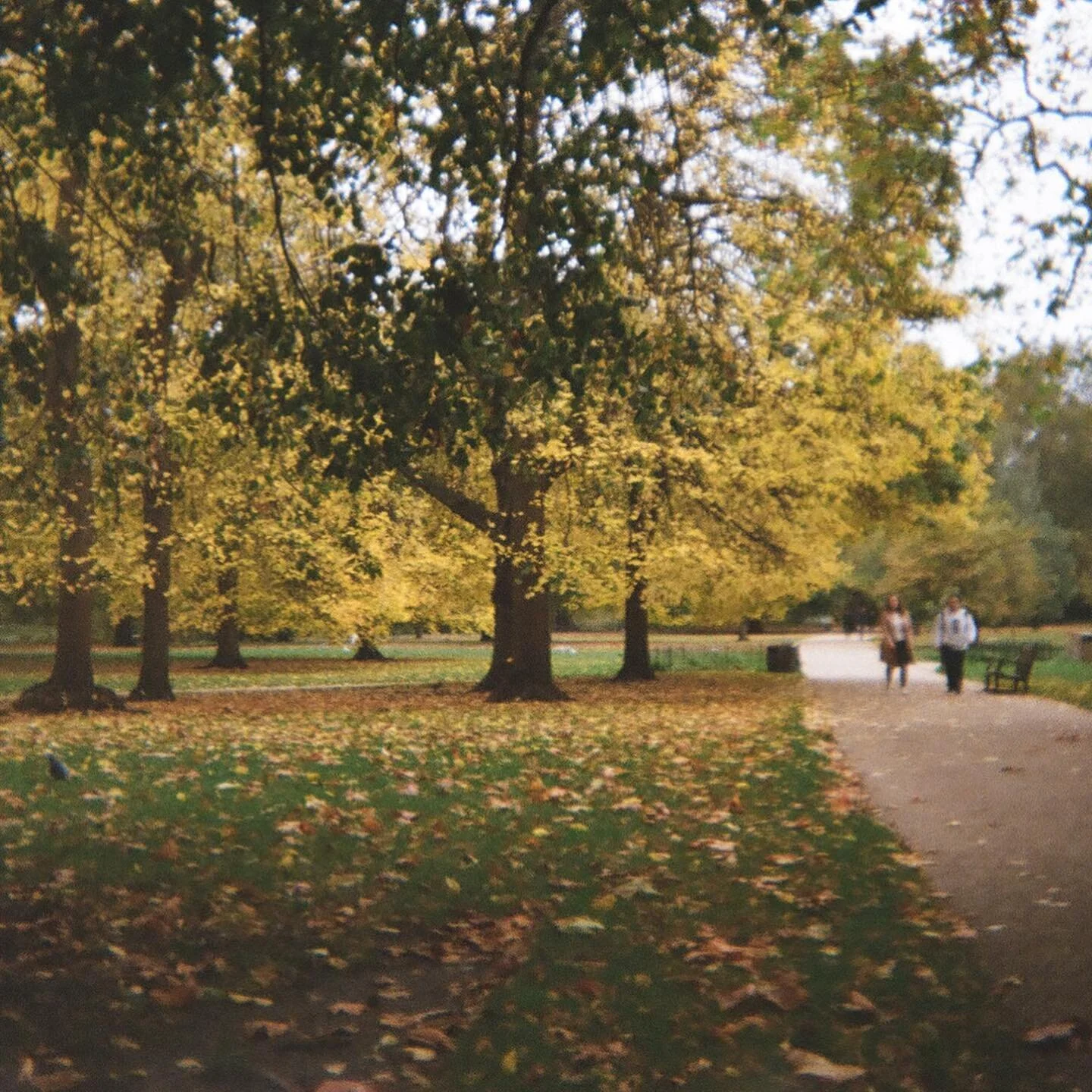 How to Weed Your Life — Kassondra Cloos