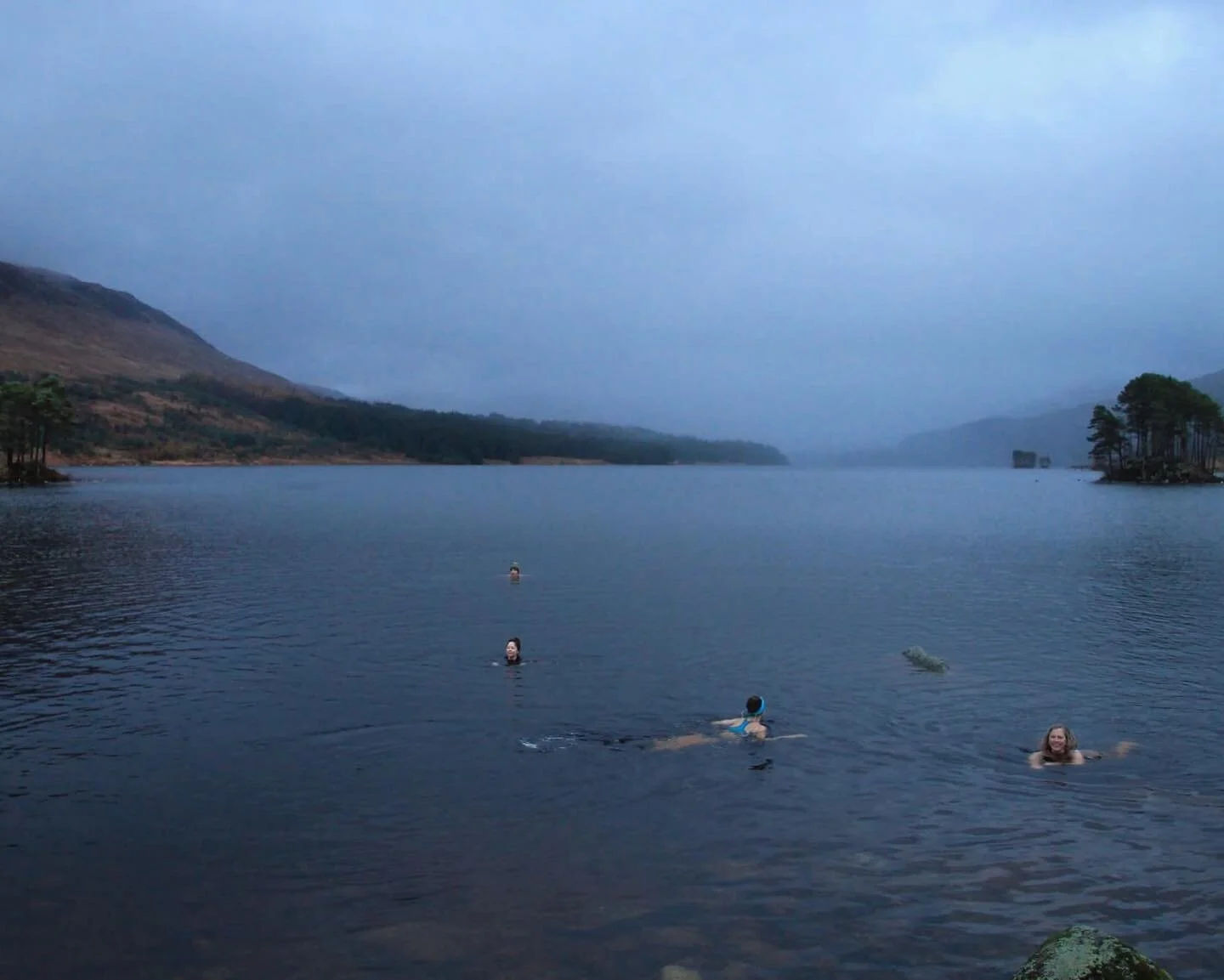 How to Weed Your Life — Kassondra Cloos