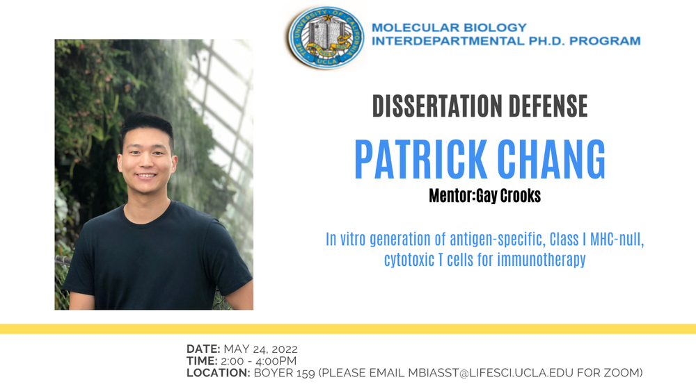 News — Dr. Gay M Crooks