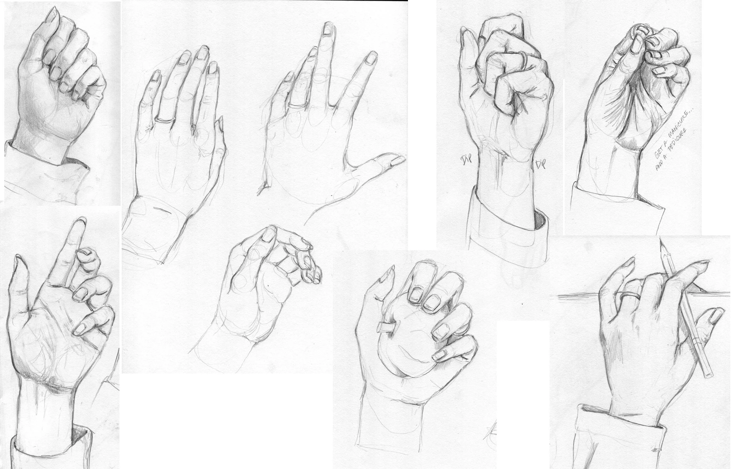 Illustrations/Sketches — Sabrina bedford