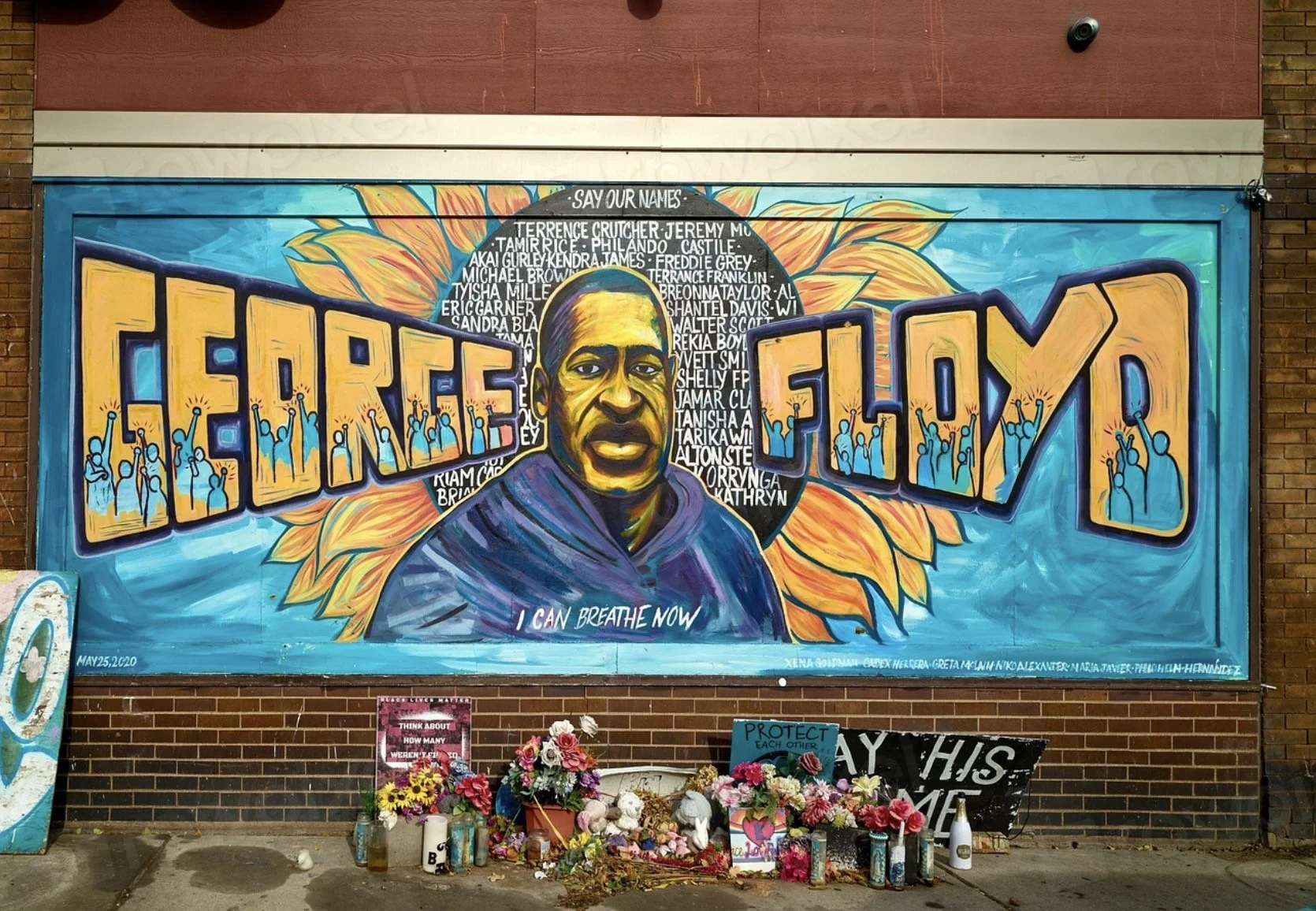 Peace Psychology -- APA Division 48