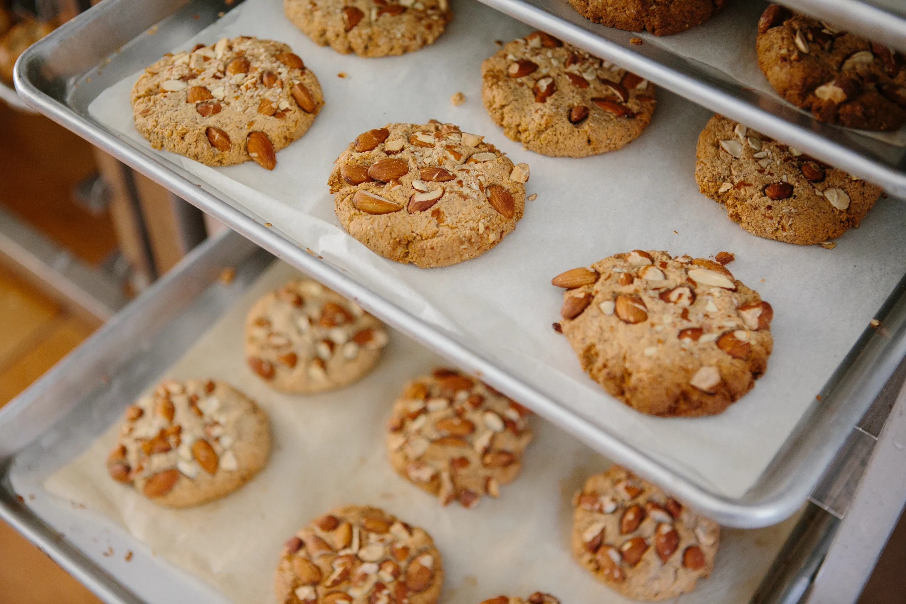 Bondi Bikkies