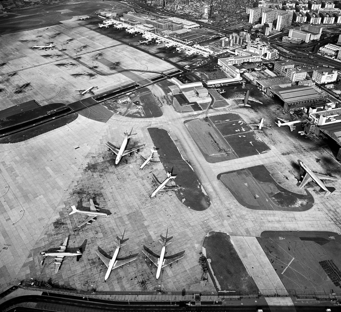 Gallery — Blue Lotus Gallery