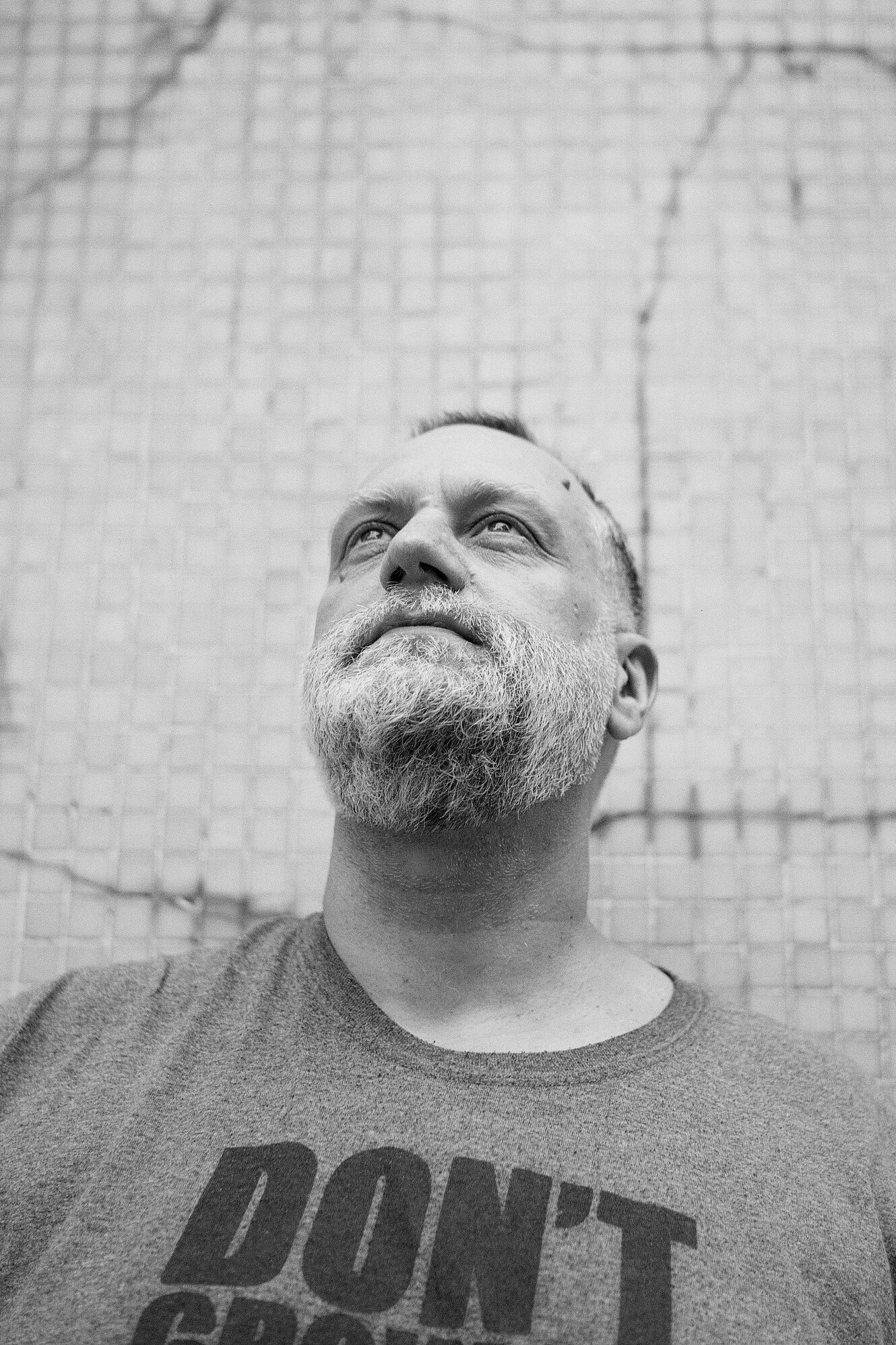 Gallery — Blue Lotus Gallery